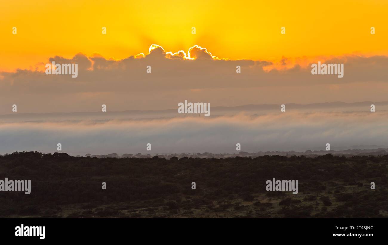 Wilderness valley morning mist rising with sun rising behind clouds overlooking wildlife valley ...