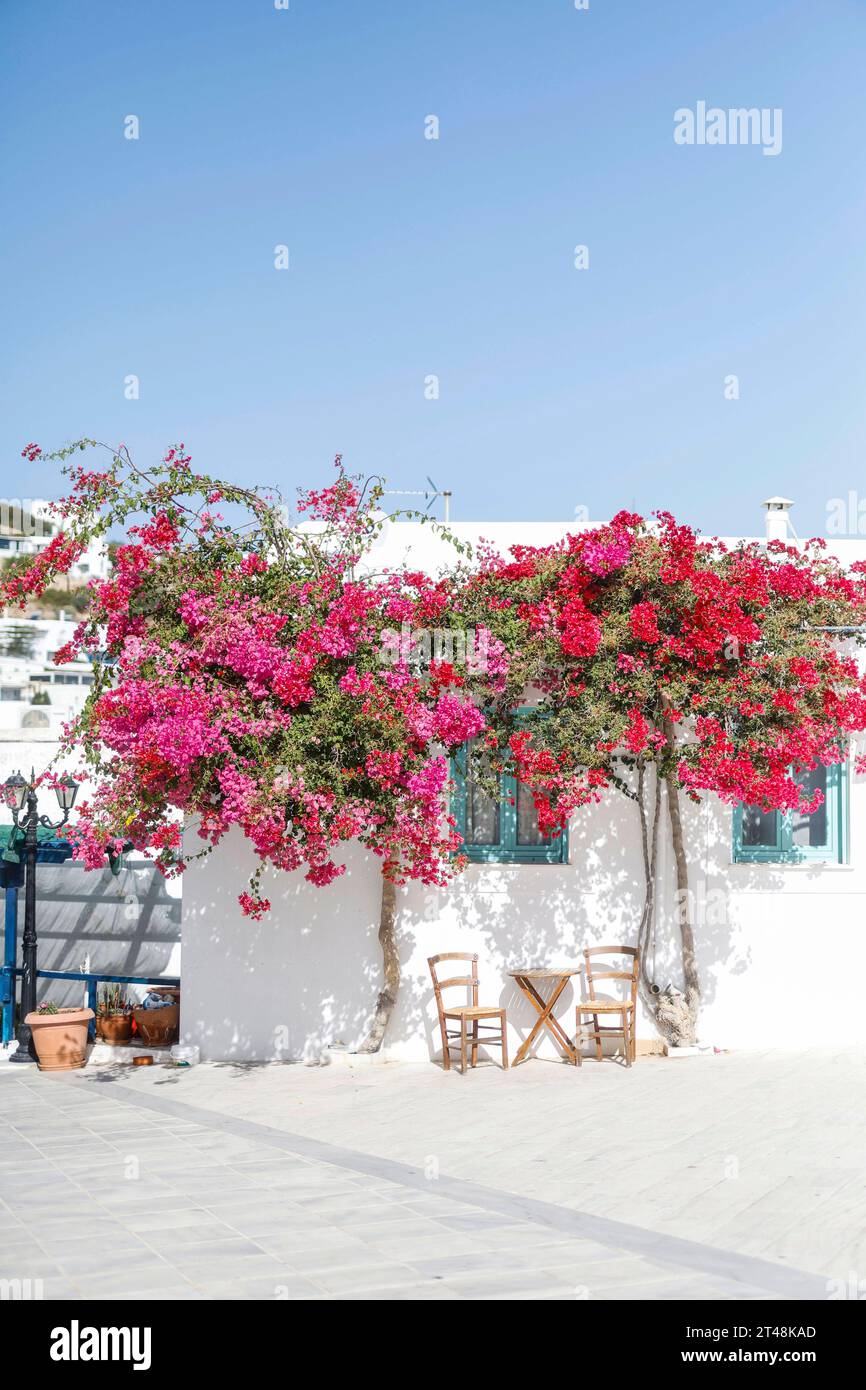 Paros, Griechenland 2023 Paros, Griechenland 2023, in the streets of ...