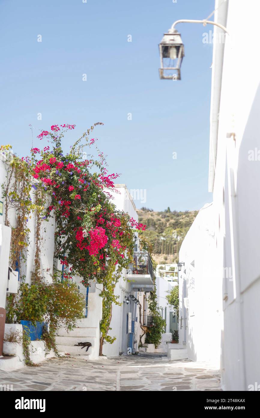 Paros, Griechenland 2023 Paros, Griechenland 2023, in the streets of ...
