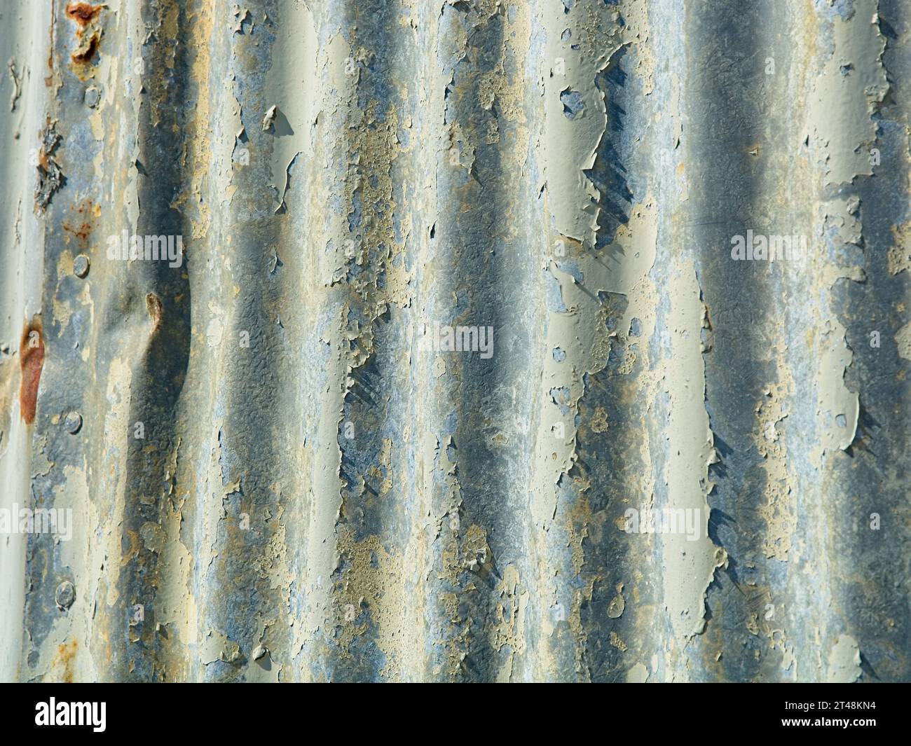 Close up of side lit weathered corrugated steel siding with paint chips ...