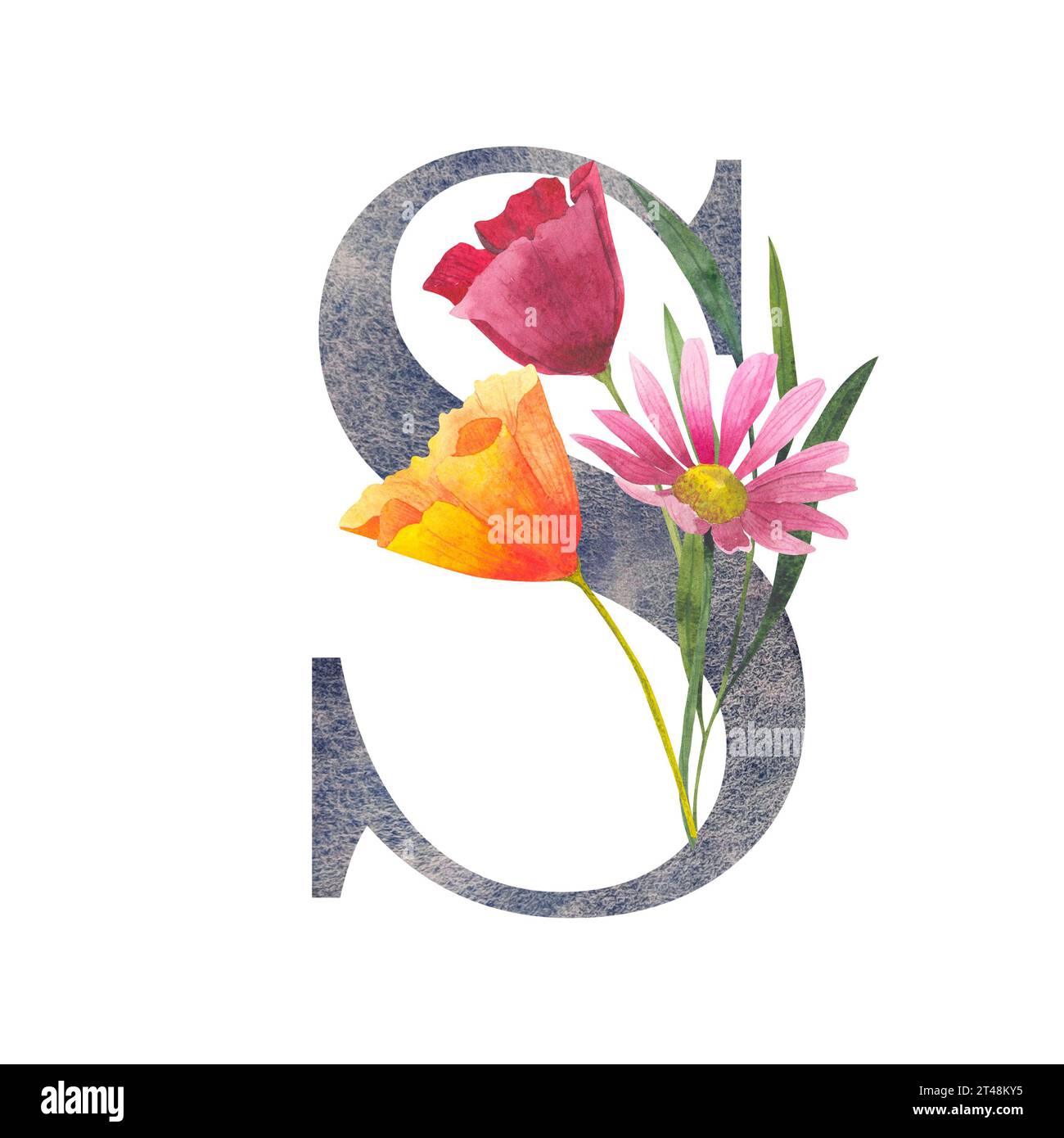 Flower alphabet illustration hi-res stock photography and images - Alamy