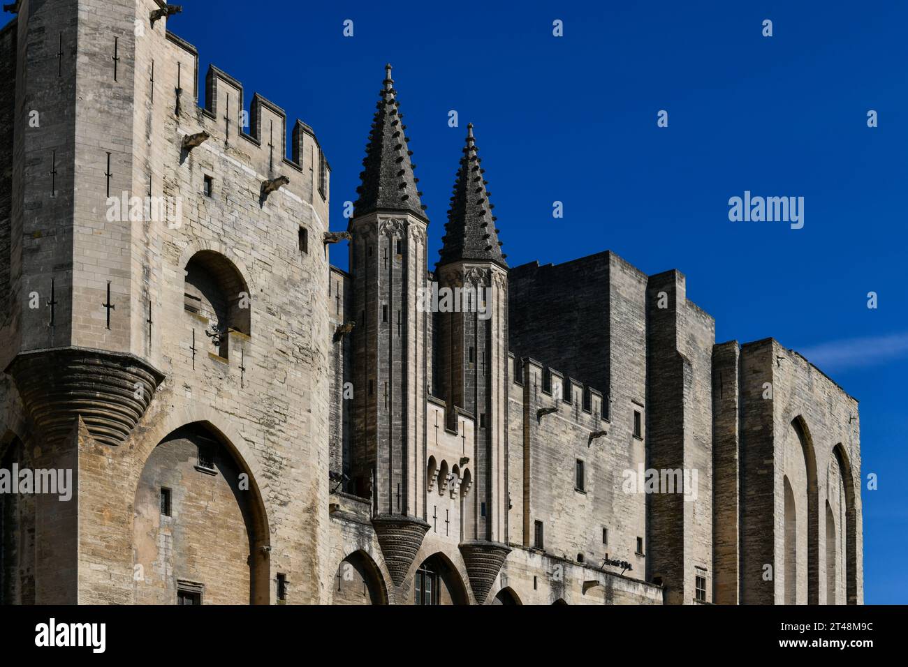 Palace of the Popes, once fortress and palace, one of the largest and ...