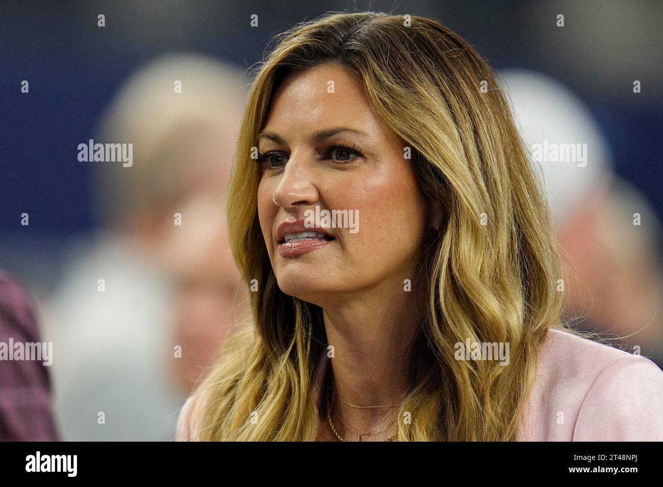 Fox sideline reporter Erin Andrews stands on the field before an NFL ...