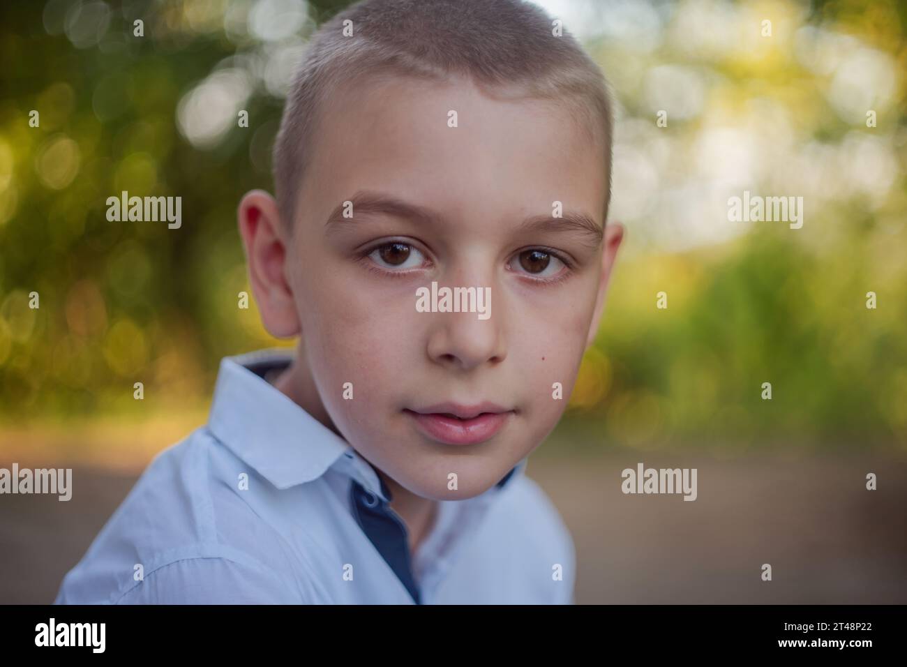 Cute little curious boy in green nature waiting for magic. Inquisitive ...