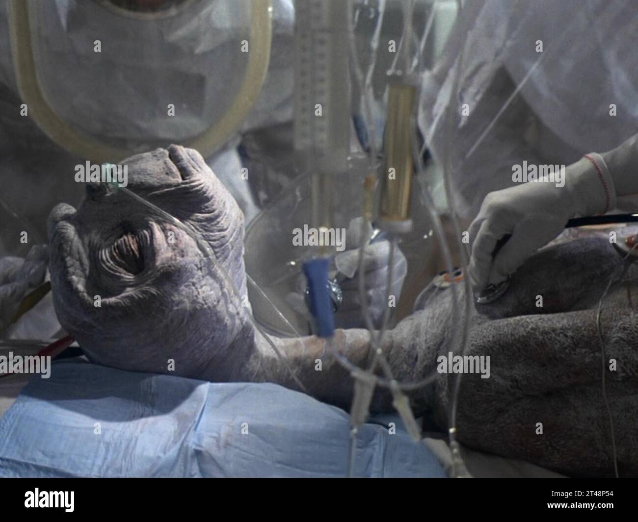 E. T. THE EXTRA-TERRESTRIAL (1982), directed by STEVEN SPIELBERG. Credit: UNIVERSAL PICTURES ...