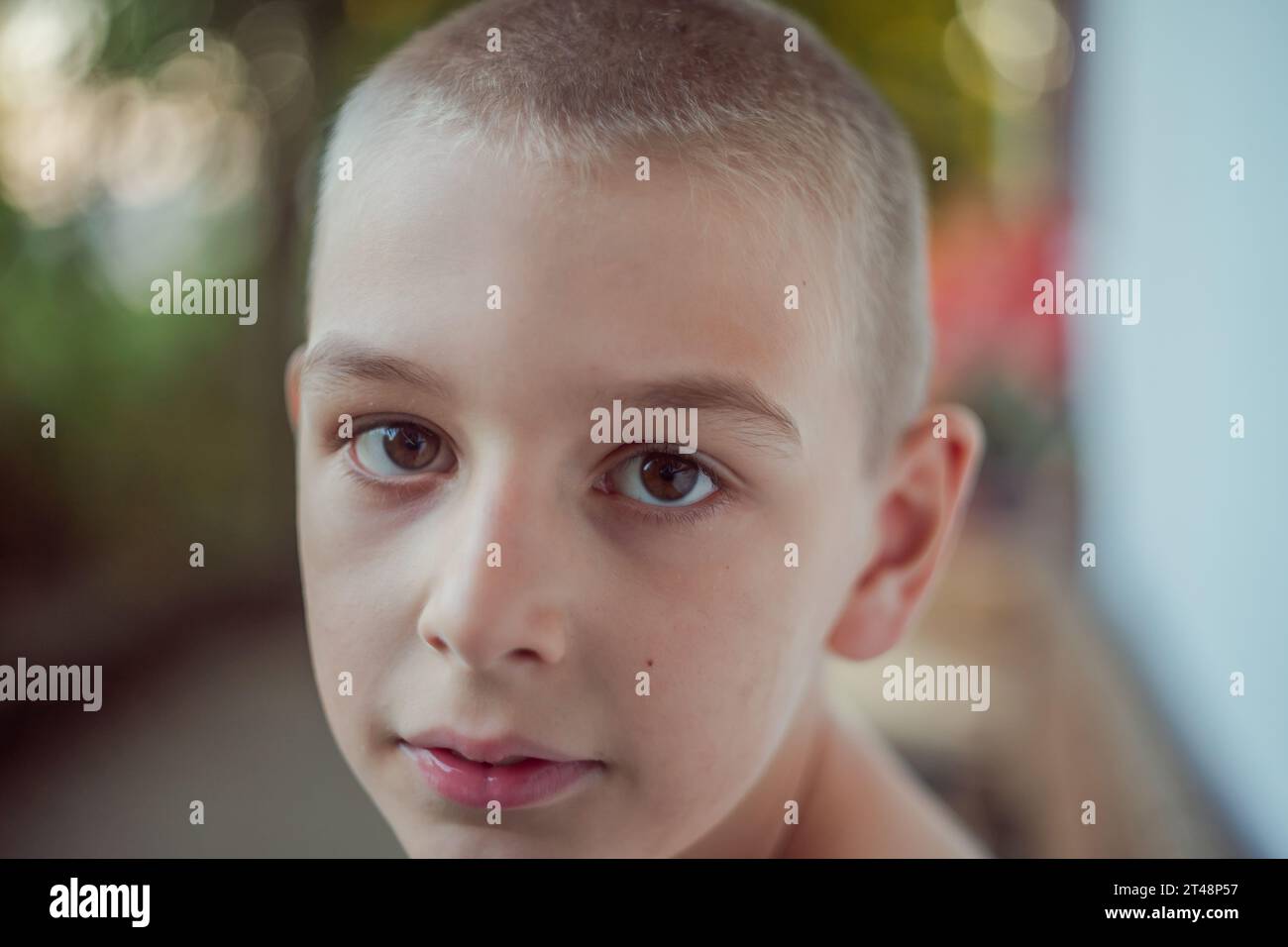 Cute little curious boy in green nature waiting for magic. Inquisitive ...