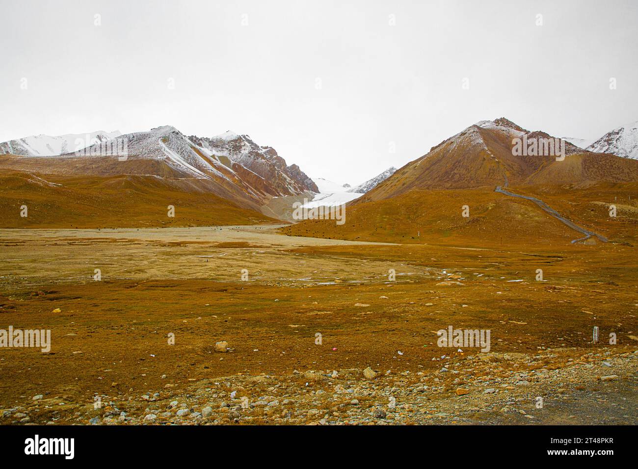 Khunjerab pass near Pakistan-China border, autumn season. Yellow and ...