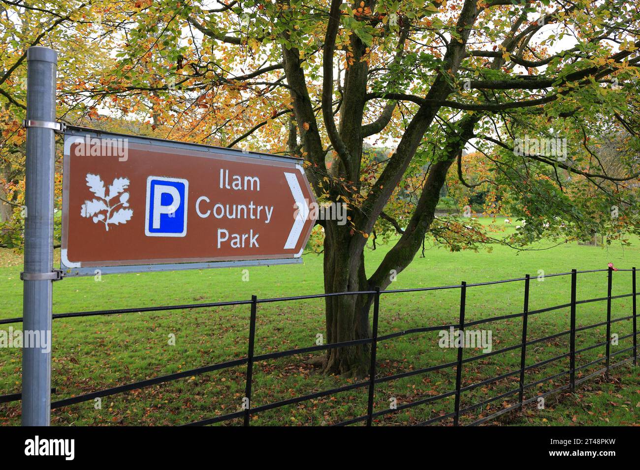 Ilam Park in the Peak District National Park Stock Photo - Alamy