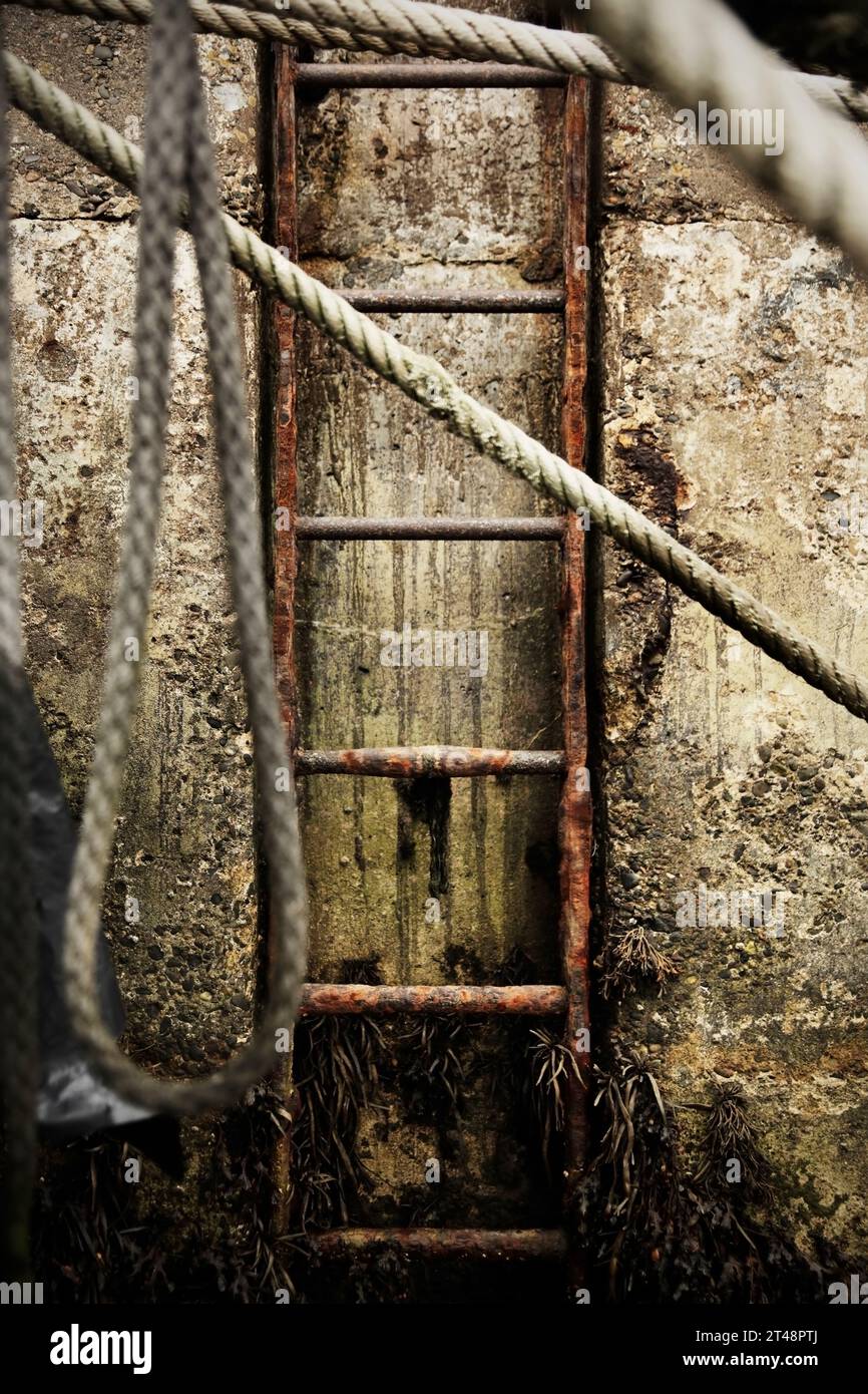 Old rusty ladder in concrete quayside wall Stock Photo - Alamy