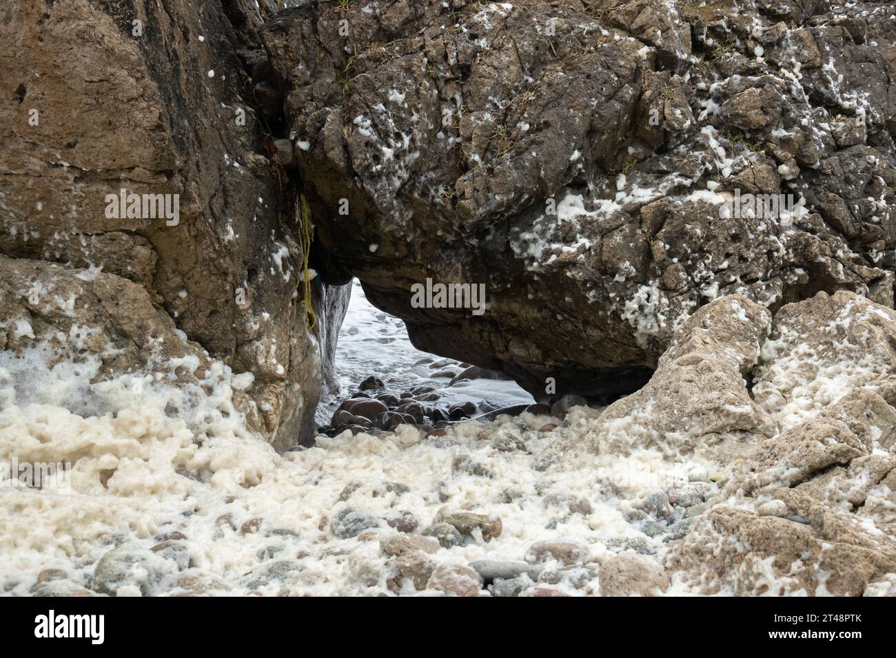 Water and sea foam on the dolomite rocks in Arches Provincial Park in ...