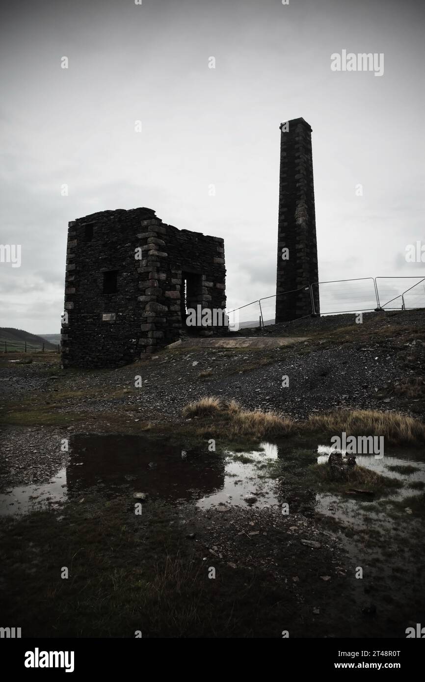 Snuff the wind hi-res stock photography and images - Alamy