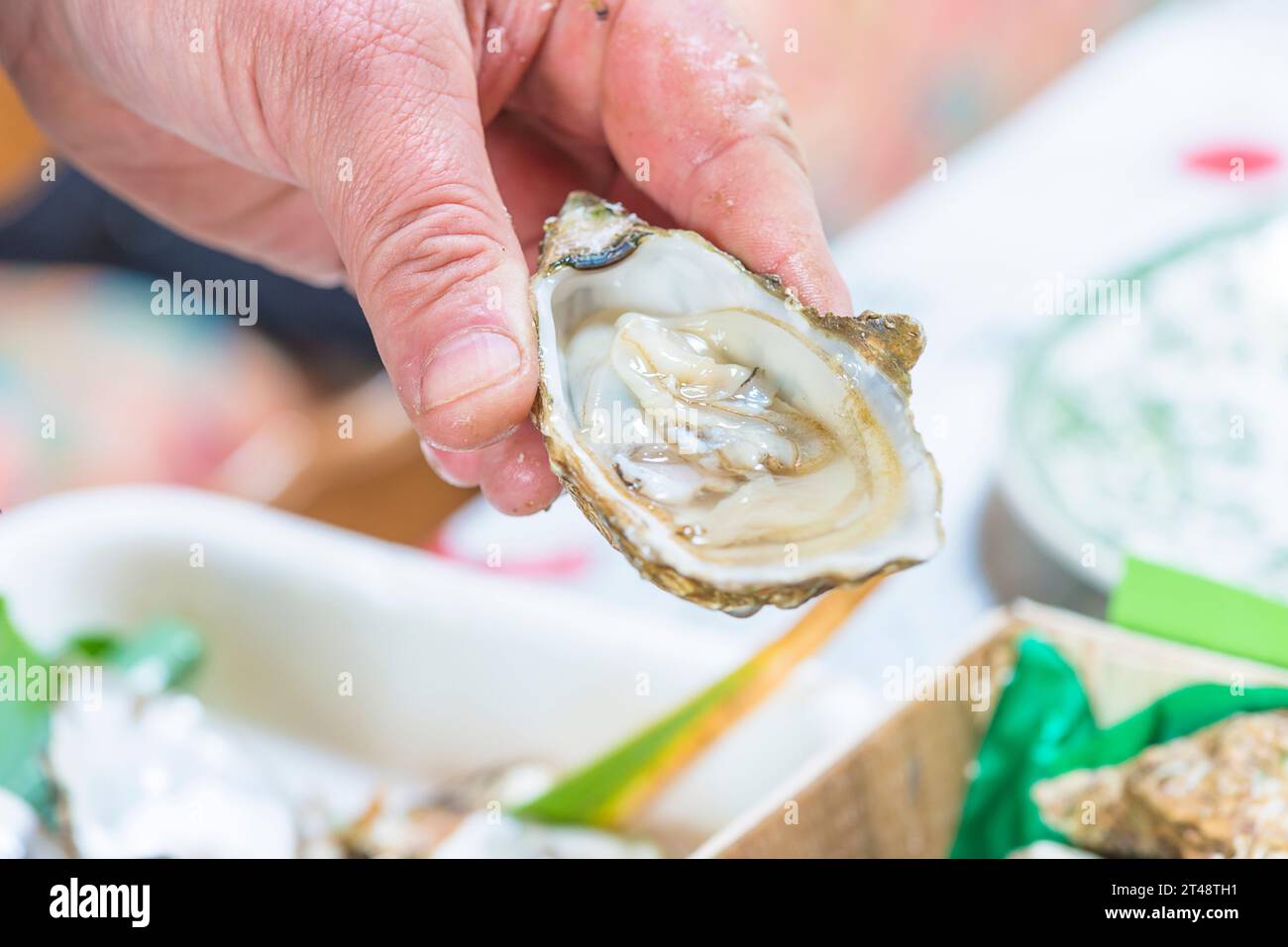 Open oyster hi-res stock photography and images - Alamy