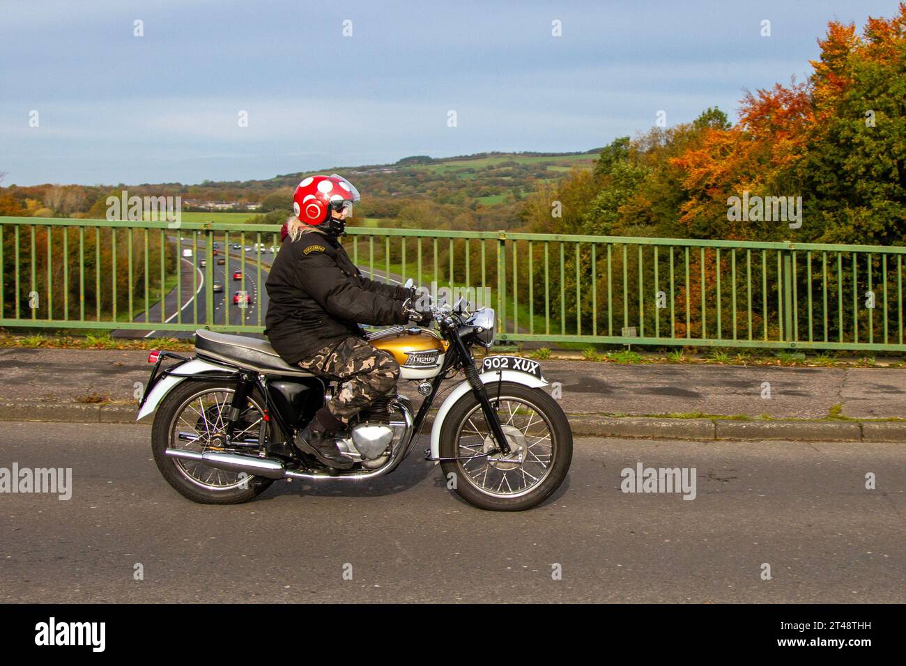 1961 60s sixties Triumph Gold Motorcycle Petrol 350 cc; motorcycle ...