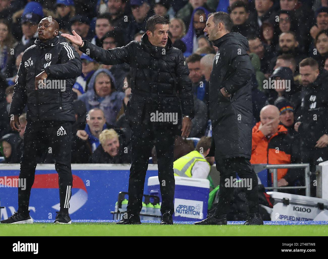 Brighton and Hove, UK. 29th Oct, 2023. Marco Silva, Manager of Fulham ...