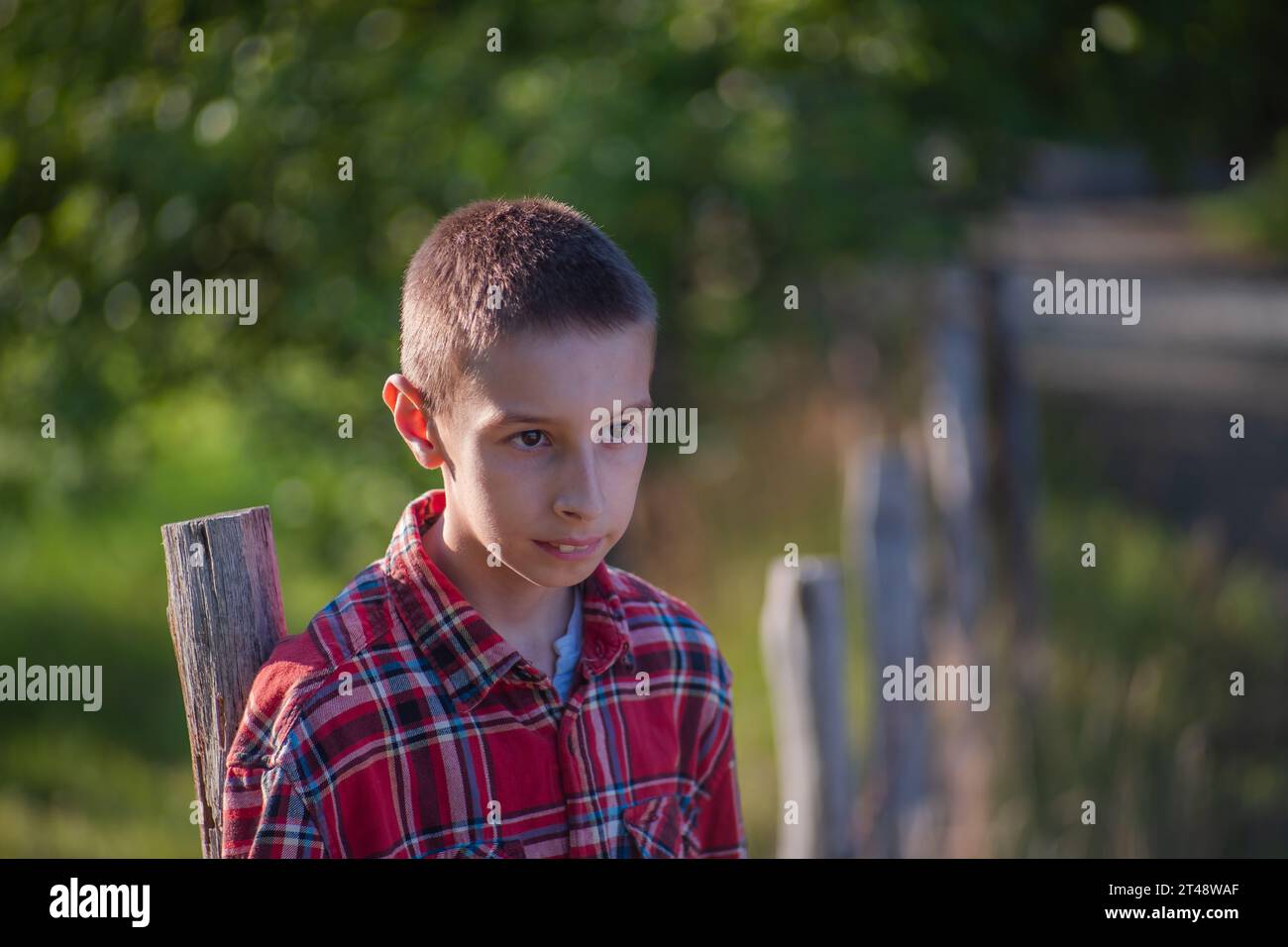 Cute little curious boy in green nature waiting for magic. Inquisitive ...