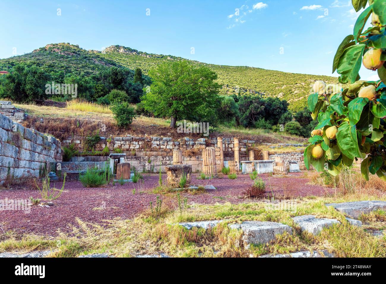 Ruins of the ancient Greek city of Messenia, Peloponnese, Greece ...