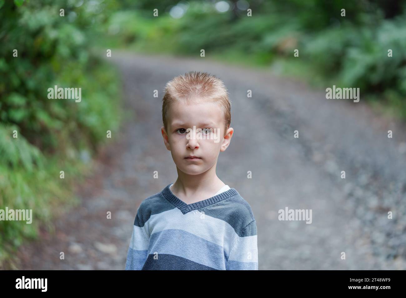 Cute little curious boy in green nature waiting for magic. Inquisitive ...