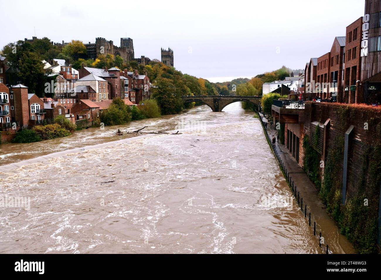 A large uprooted tree floats down the River Wear as it burst its banks ...