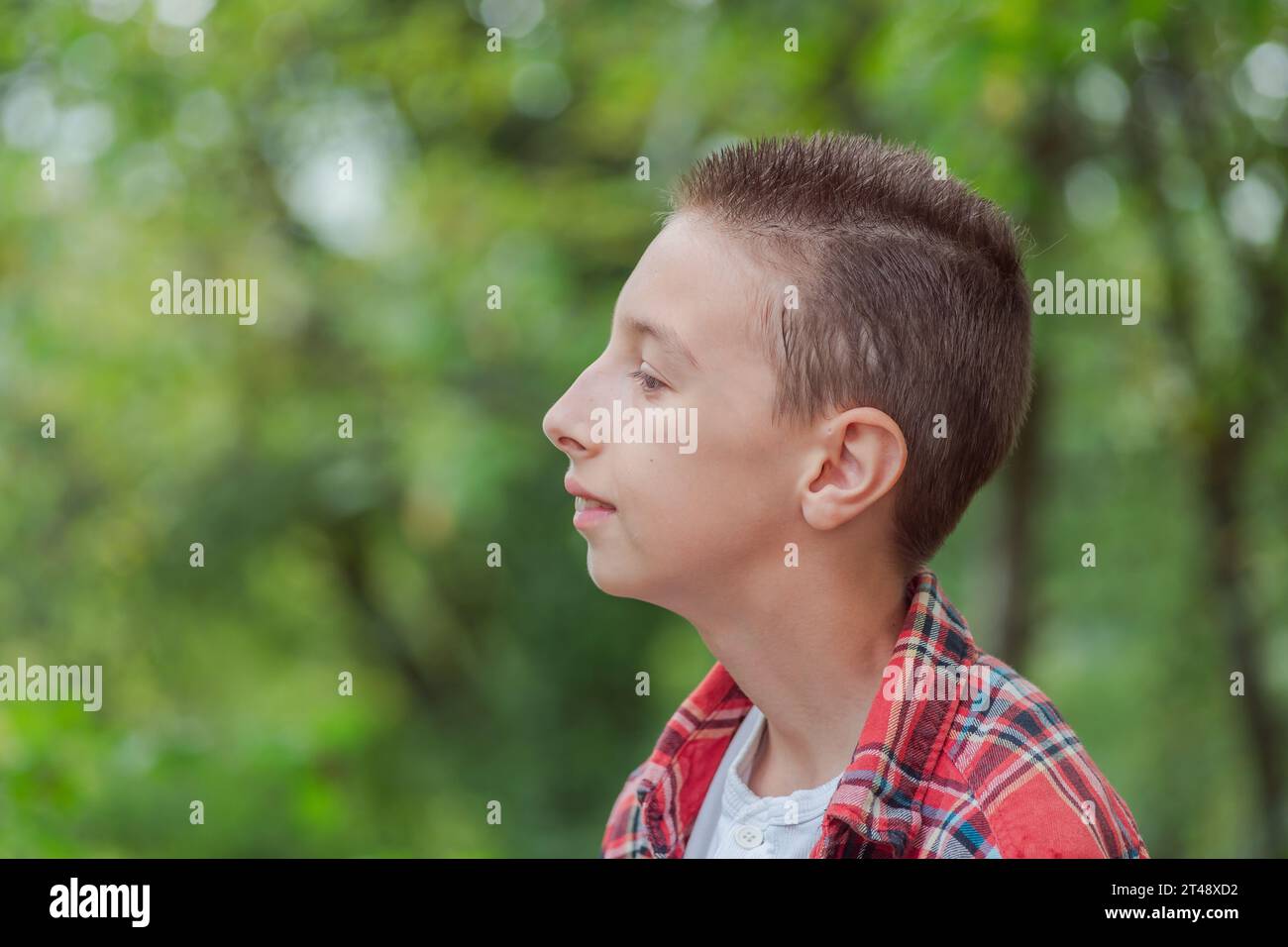 Cute little curious boy in green nature waiting for magic. Inquisitive ...