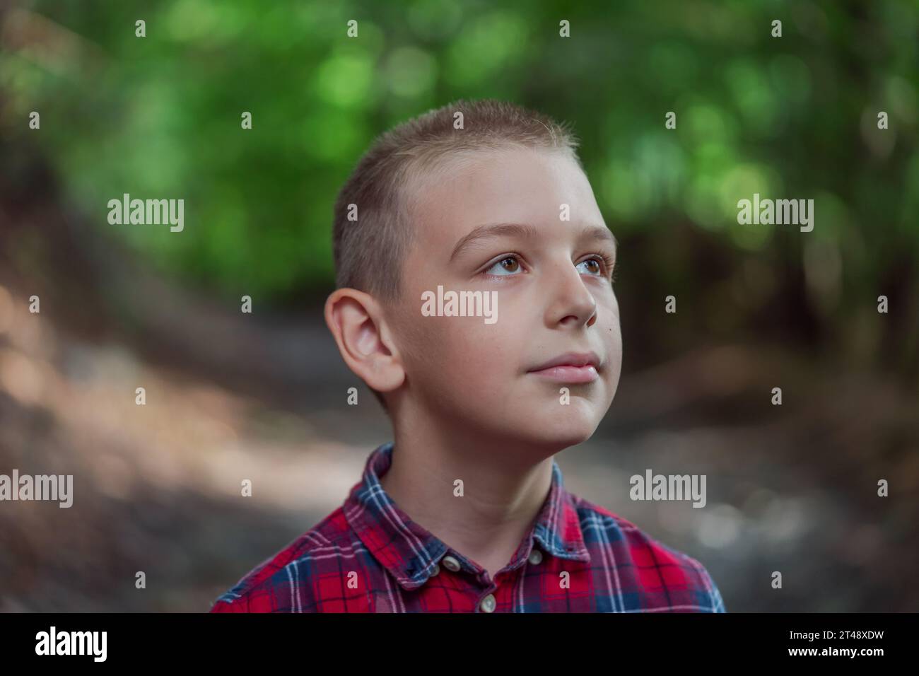 Cute little curious boy in green nature waiting for magic. Inquisitive ...
