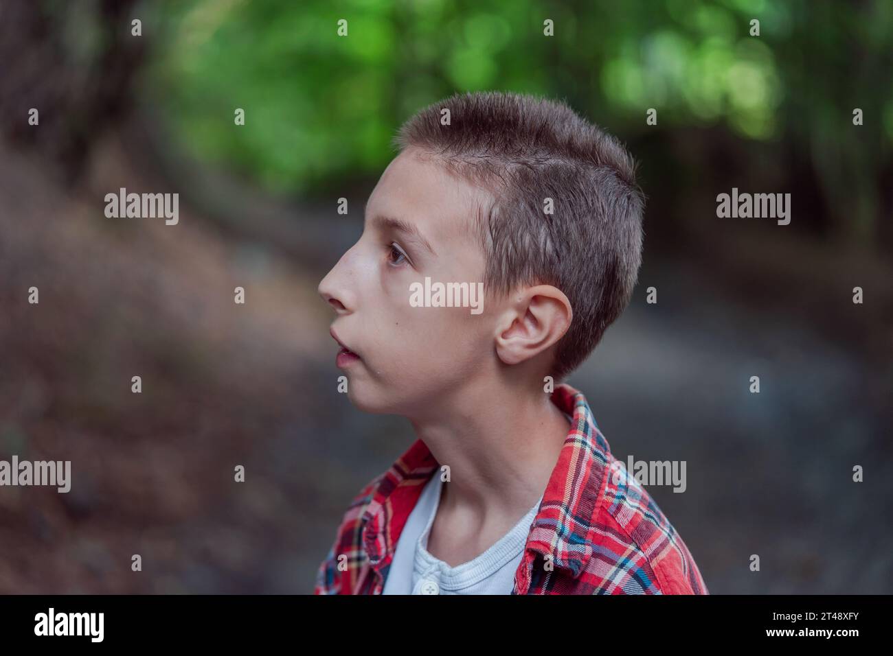 Cute little curious boy in green nature waiting for magic. Inquisitive ...