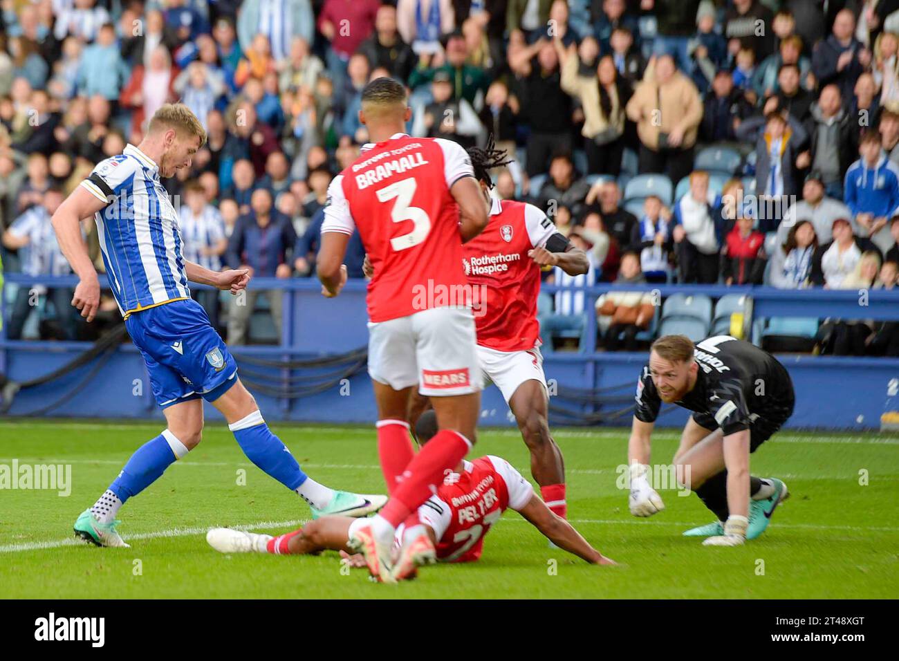 Sheffield, UK. 29th Oct, 2023. Sheffield Wednesday forward Michael ...