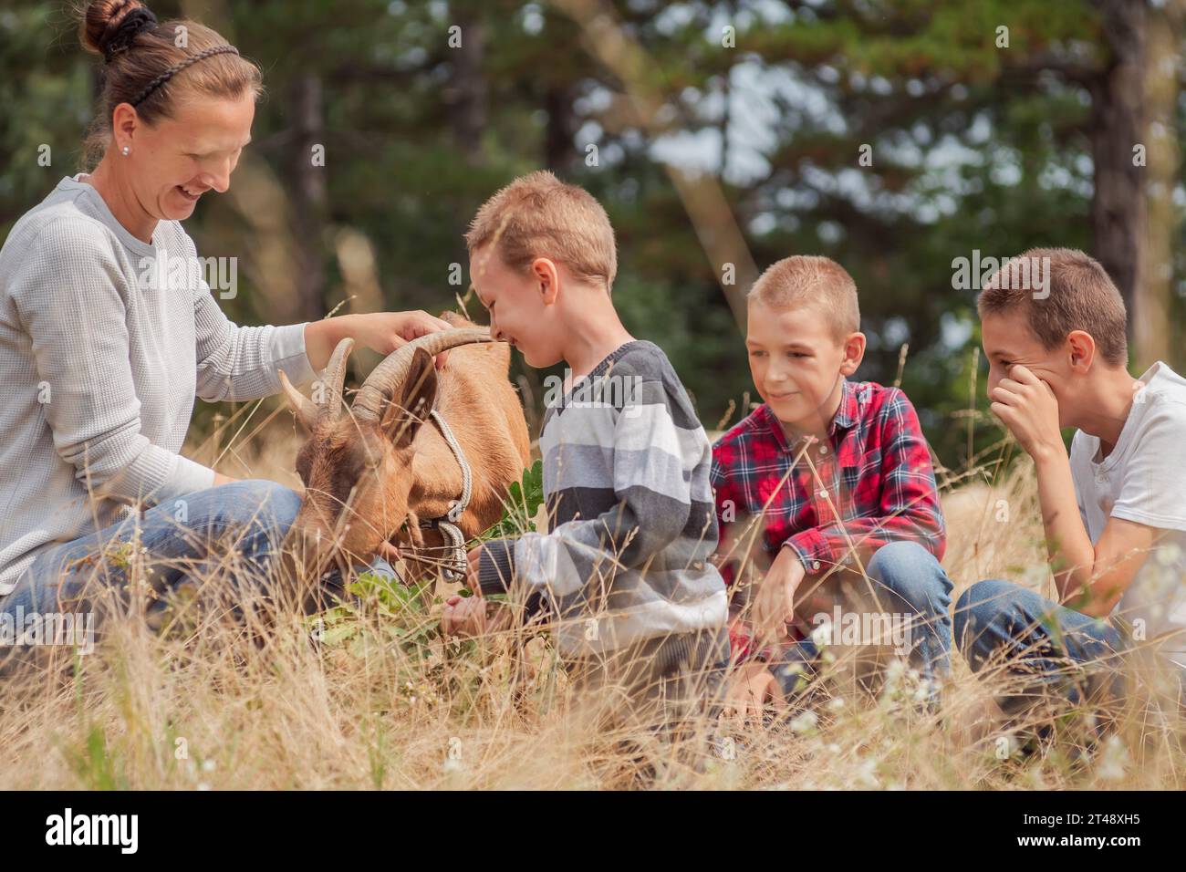 Children on rural farm field playing with farm goats. High quality ...