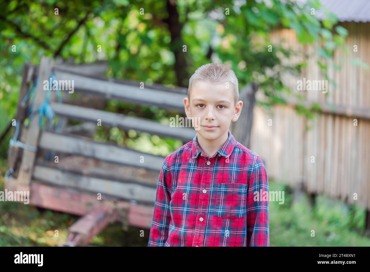 Cute little curious boy in green nature waiting for magic. Inquisitive ...