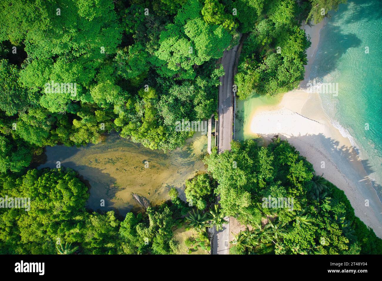 Drone bird eye view of Anse louis, Louis beach, white sandy beach, turquoise water Mahe ...