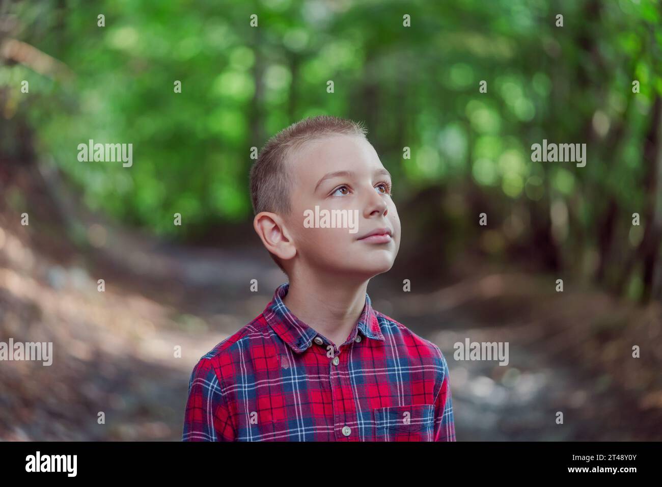 Cute little curious boy in green nature waiting for magic. Inquisitive ...