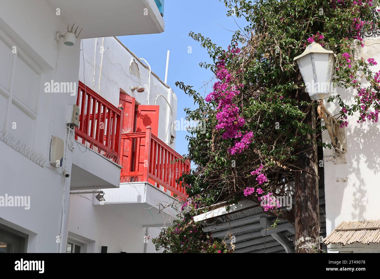 Romantic alley with bougainvillea on the Greek Cyclades island of ...