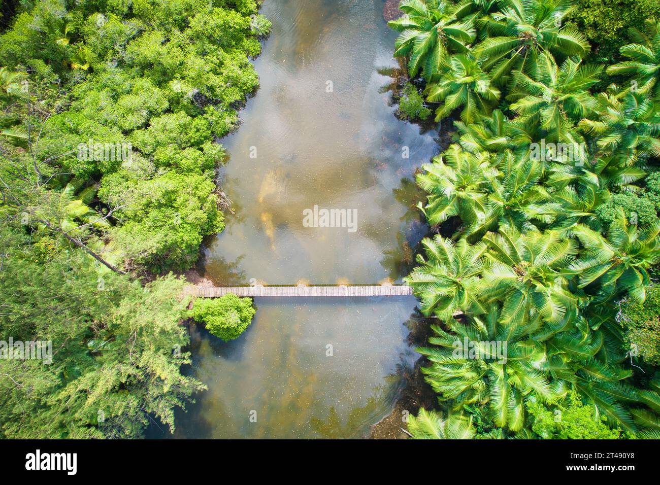 Drone bird eye view at Anse solei beach, bridge over river within forest Mahe Seychelles Stock ...
