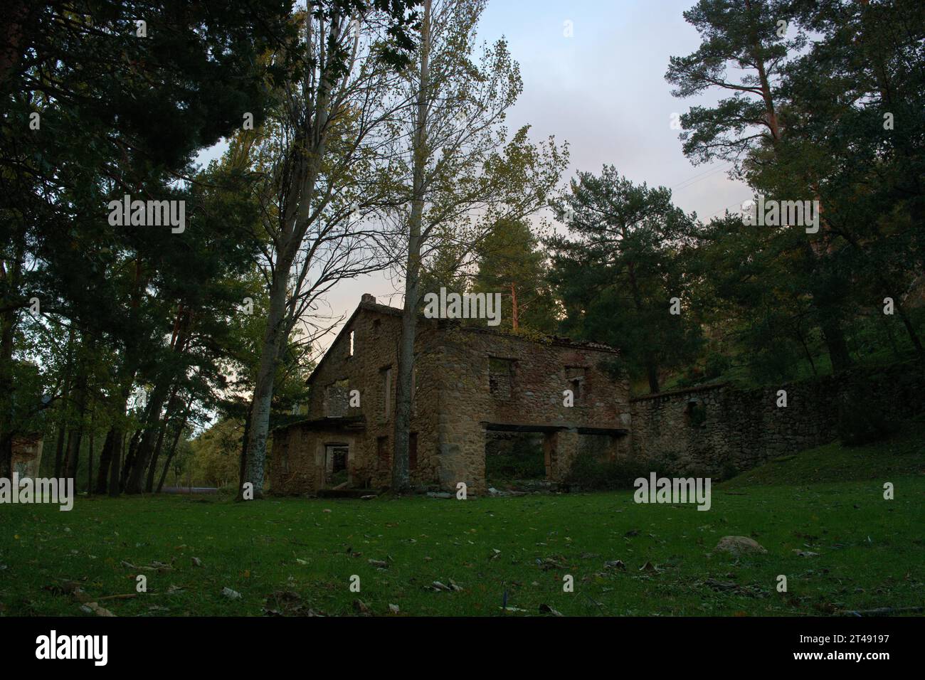 ruins, forest, building Stock Photo - Alamy