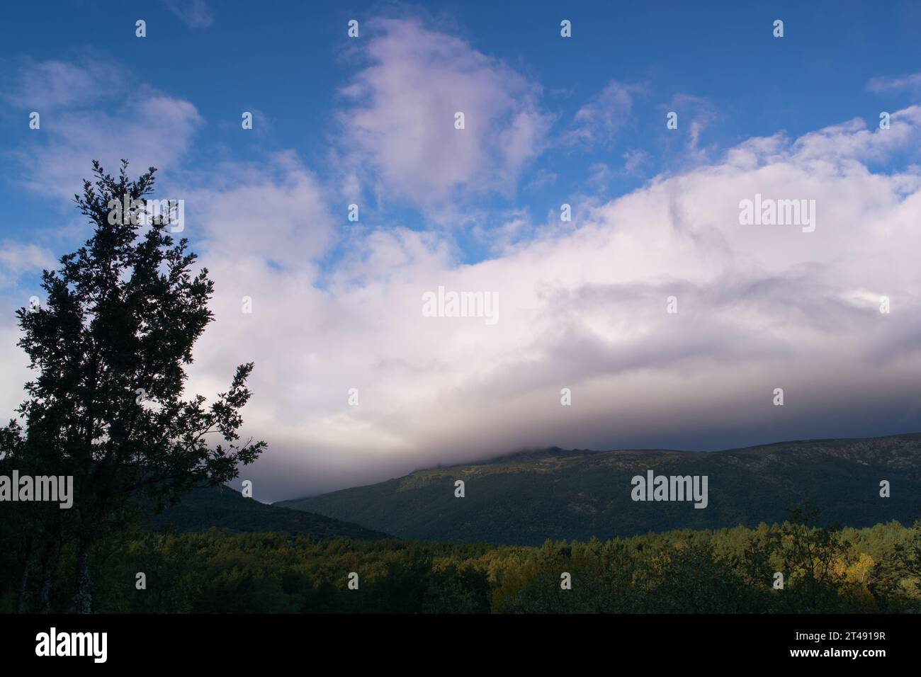 mountains, landscape, view, trees Stock Photo - Alamy
