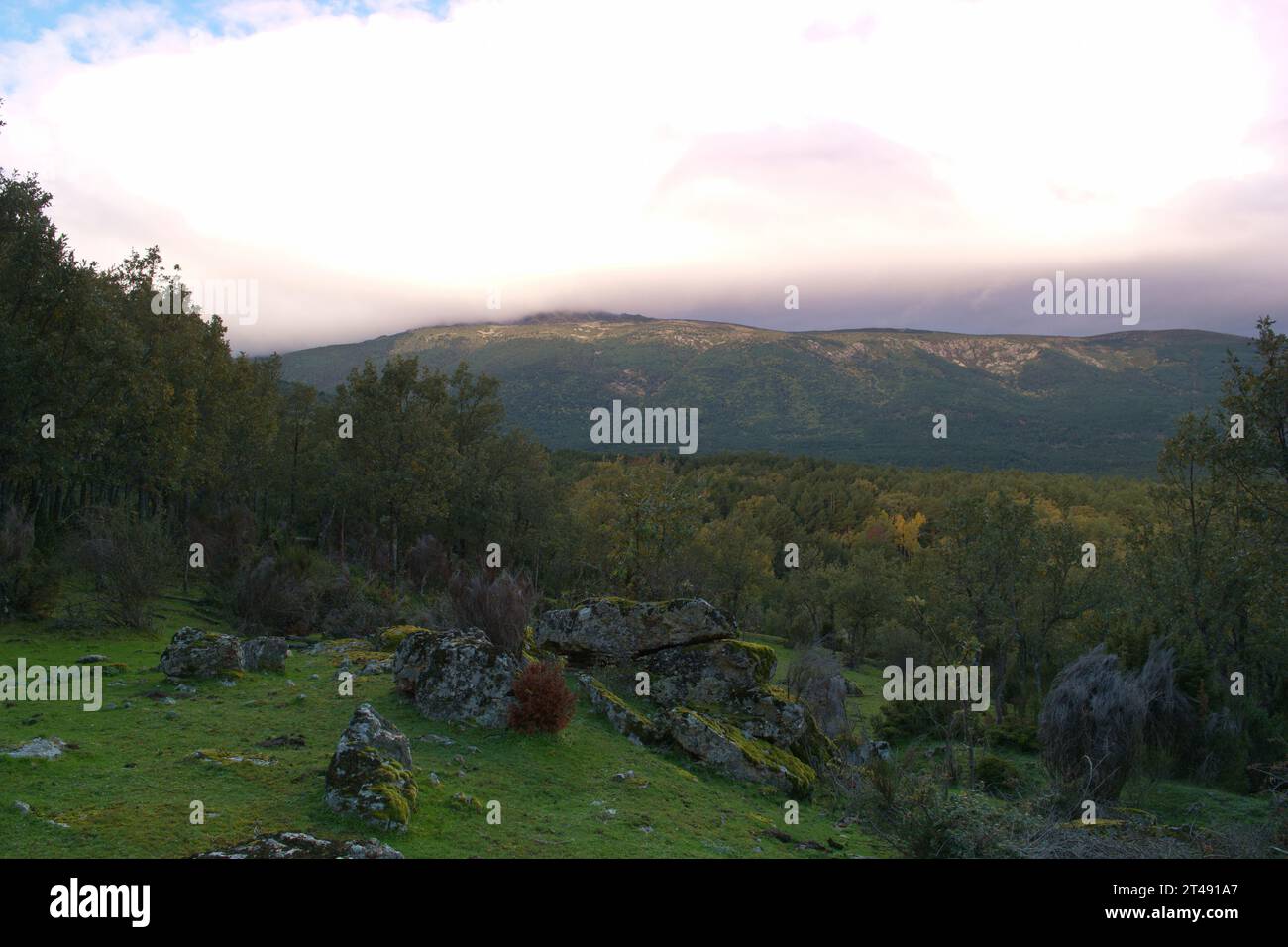 mountains, landscape, view, trees Stock Photo - Alamy