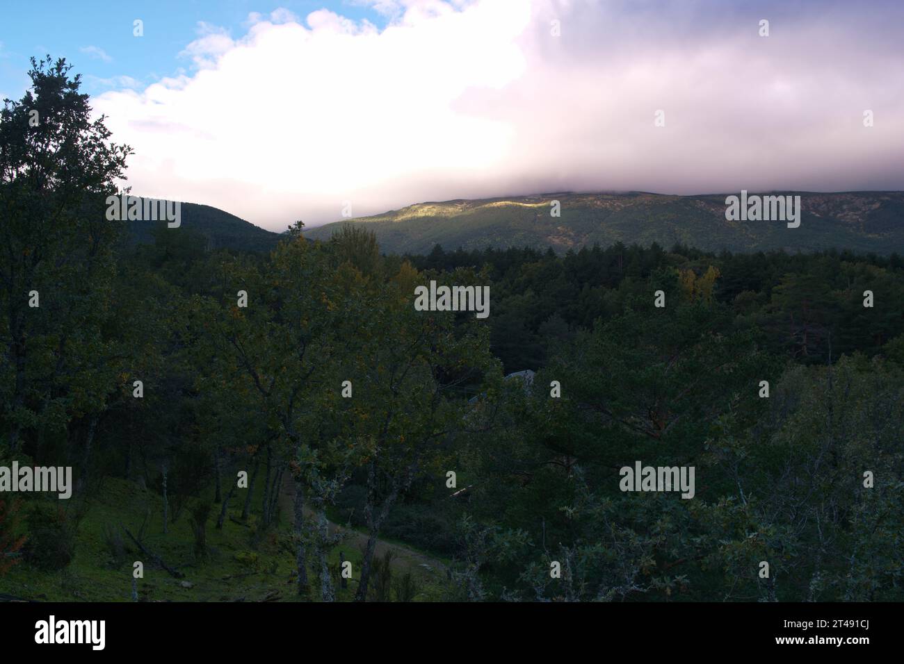 mountains, landscape, view, trees Stock Photo - Alamy