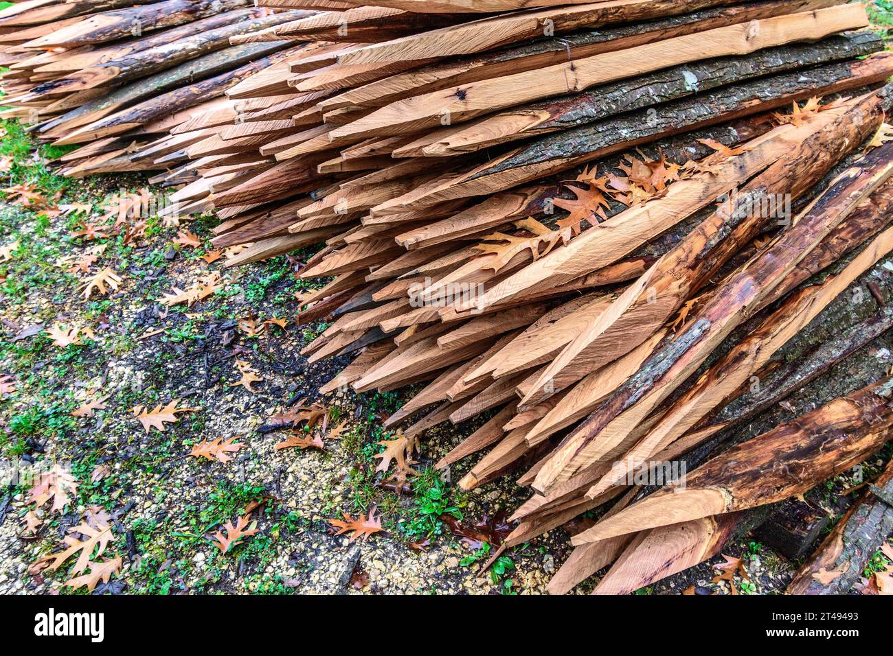 Stack of newly cut timber fence posts - La Ribaloche, Indre-et-Loire ...