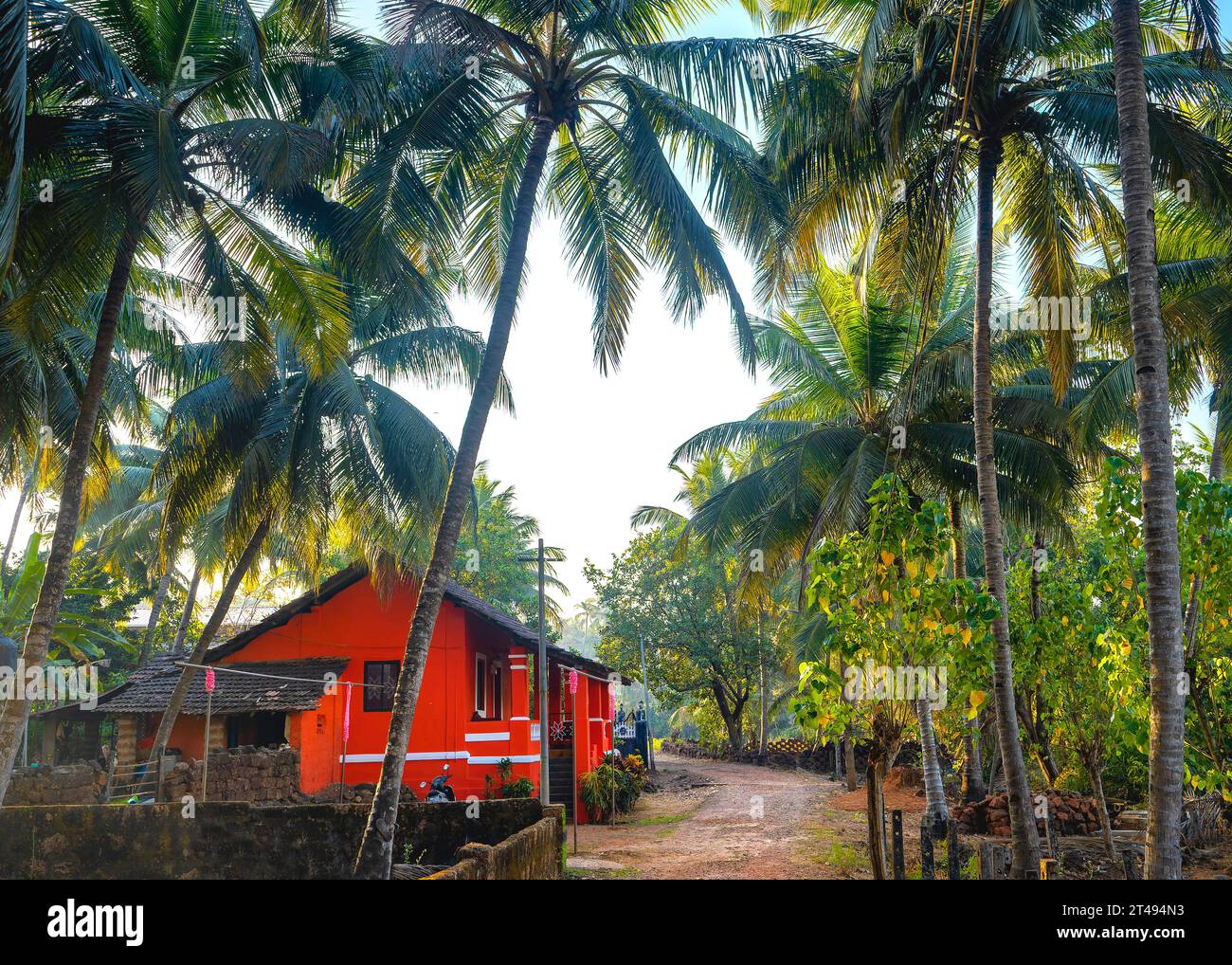 Red house in jungle of Goa, India Stock Photo - Alamy