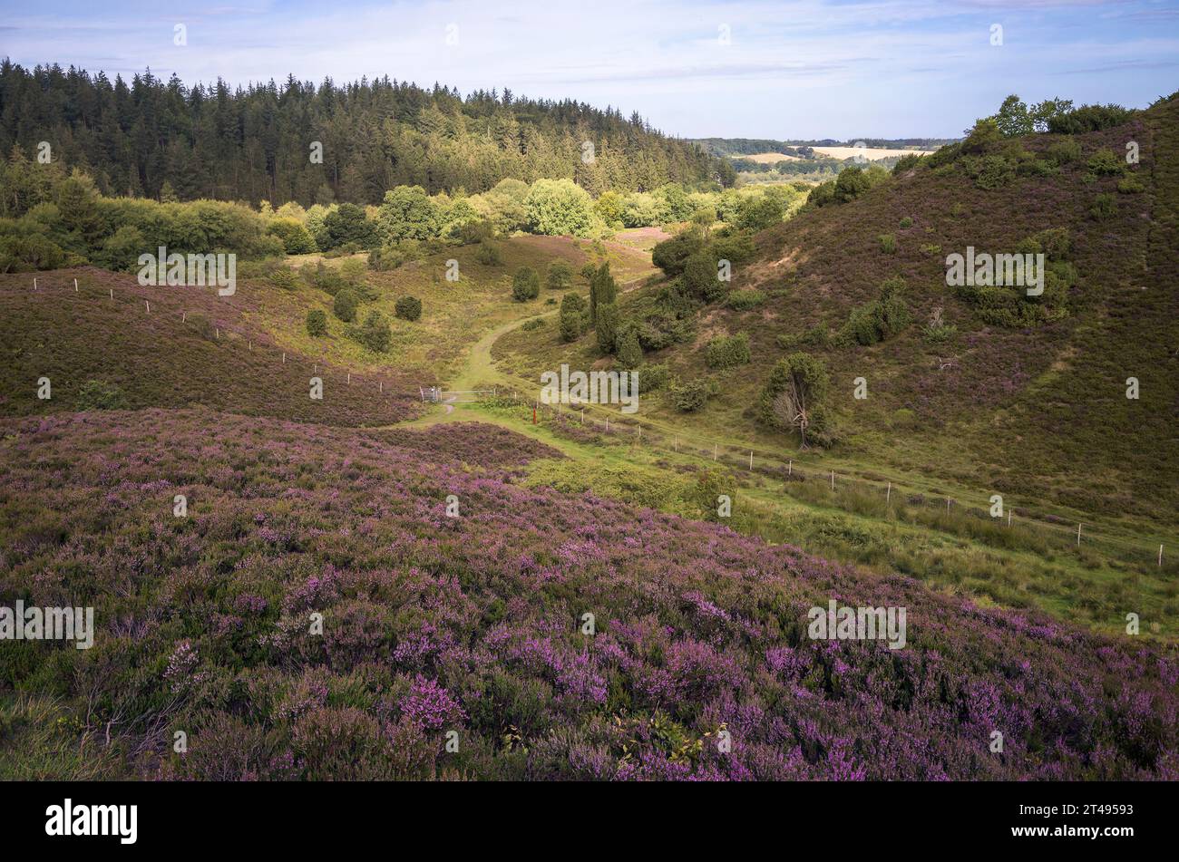 National park rebild bakker hi-res stock photography and images - Alamy