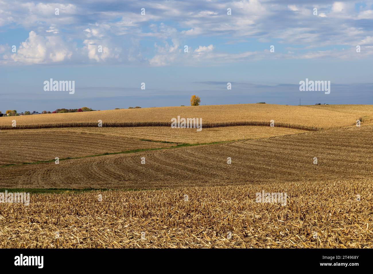 Sunrise over harvested field hi-res stock photography and images - Alamy