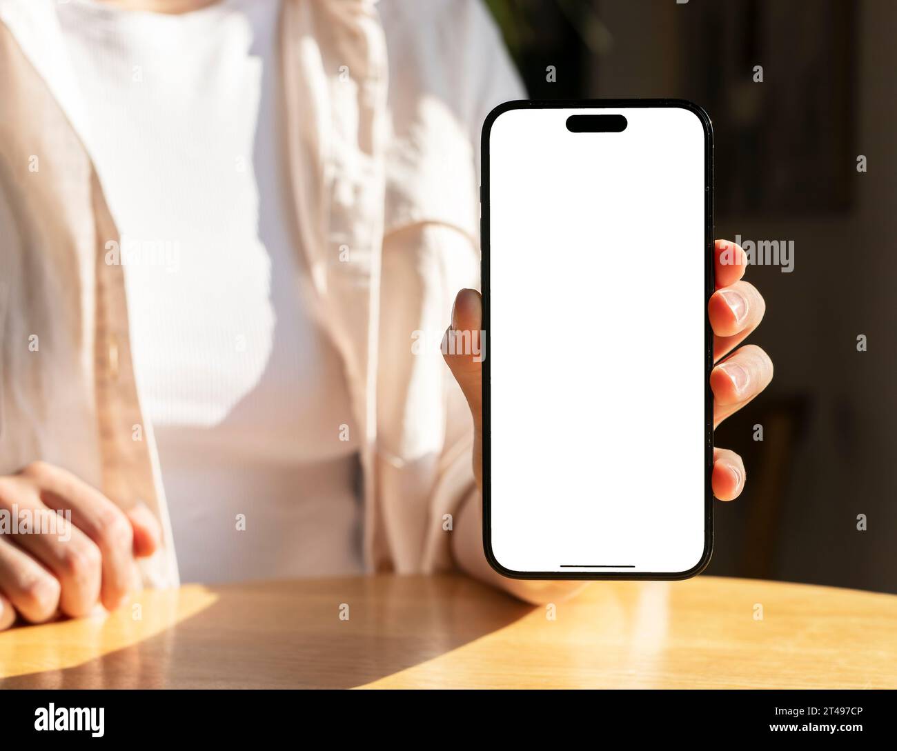 Berlin, Germany October 20 2023 Hand holding, mobile phone screen mock up, iphone mockup Stock ...