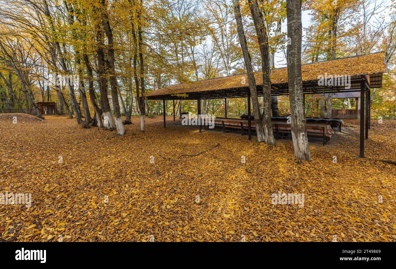 Tea gazebos in the autumn forest Stock Photo - Alamy