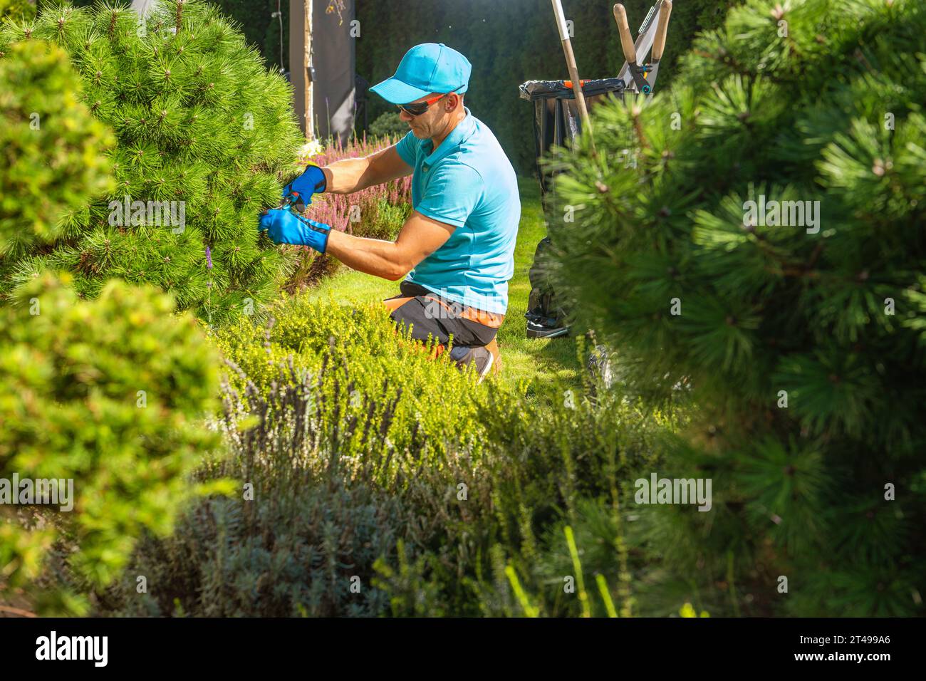 Caucasian Garden Worker Performing Backyard Plants Maintenance ...