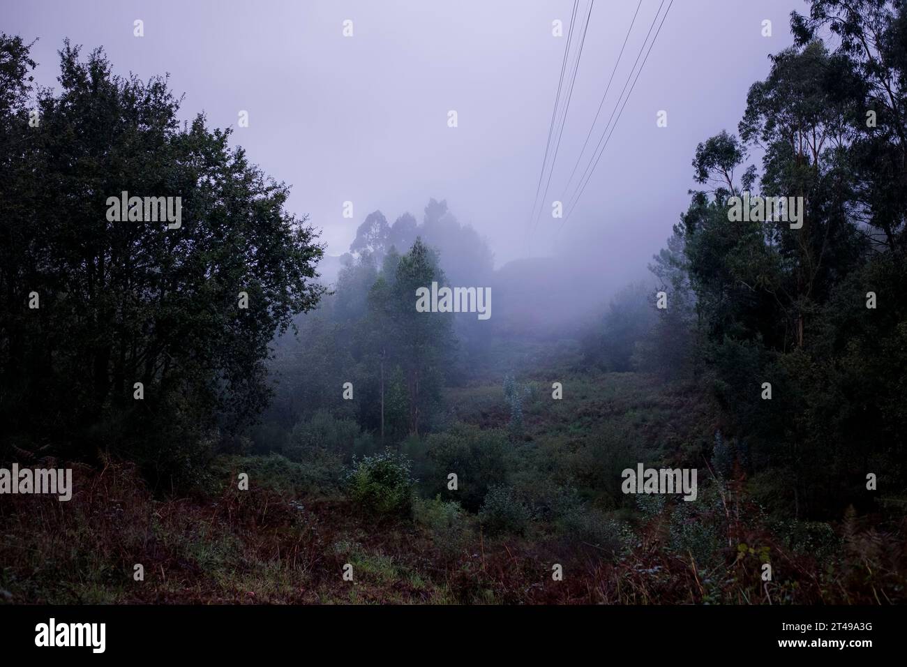 Beautiful thick fog sunrise autumn hi-res stock photography and images ...