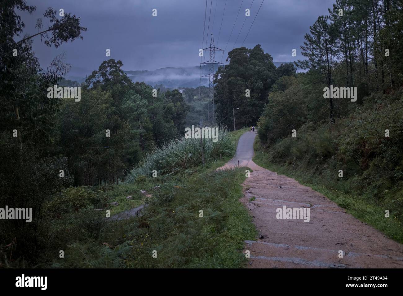 A path in the overcast forest on Camino de Santiago or the Way of St ...