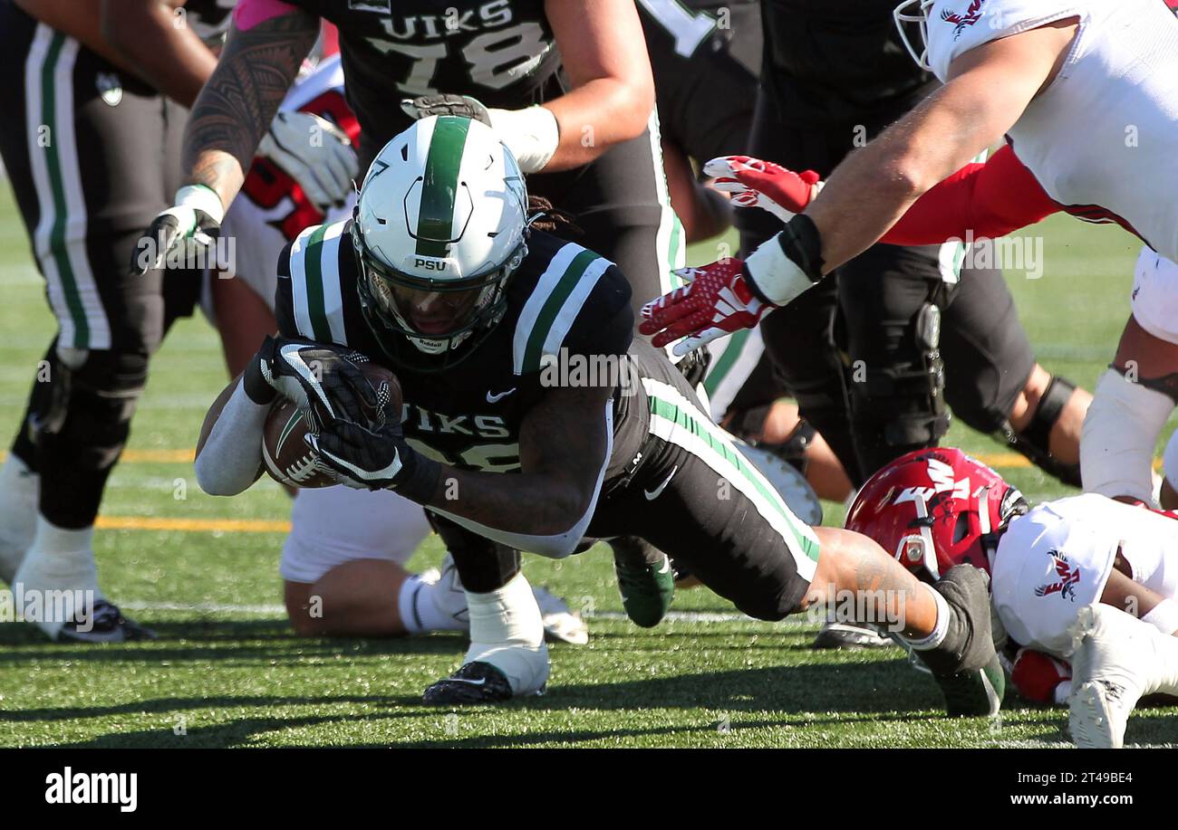 Hillsboro Stadium, Portland, OR, USA. 28th Oct, 2023. Portland State ...