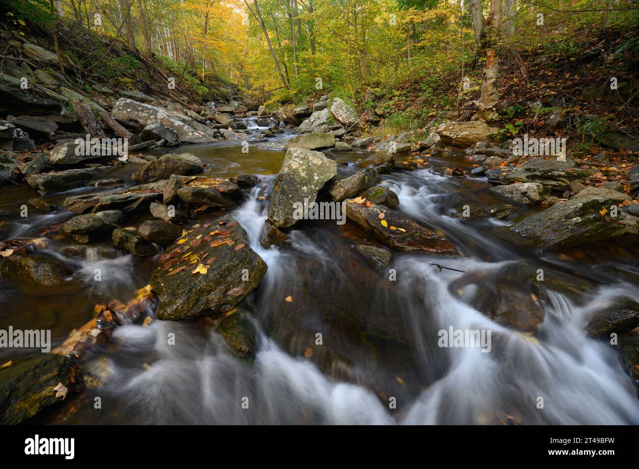 Big Hunting Creek in the Catoctin Mountains surrounded by the autumn ...