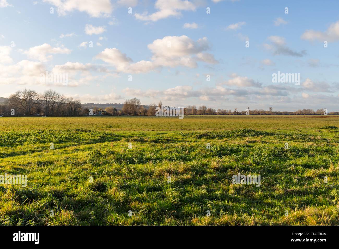 Landscape view of Port Meadow, Oxford, UK in Autumn Stock Photo - Alamy