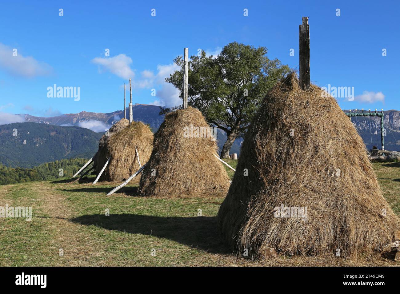 Traditional haystacks, Amfiteatrul (Amphitheatre), Moieciu de Sus ...