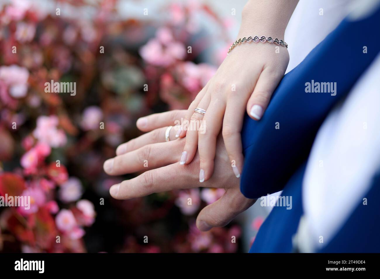 Close-up of couple's interlaced hands with rings, set against pink ...